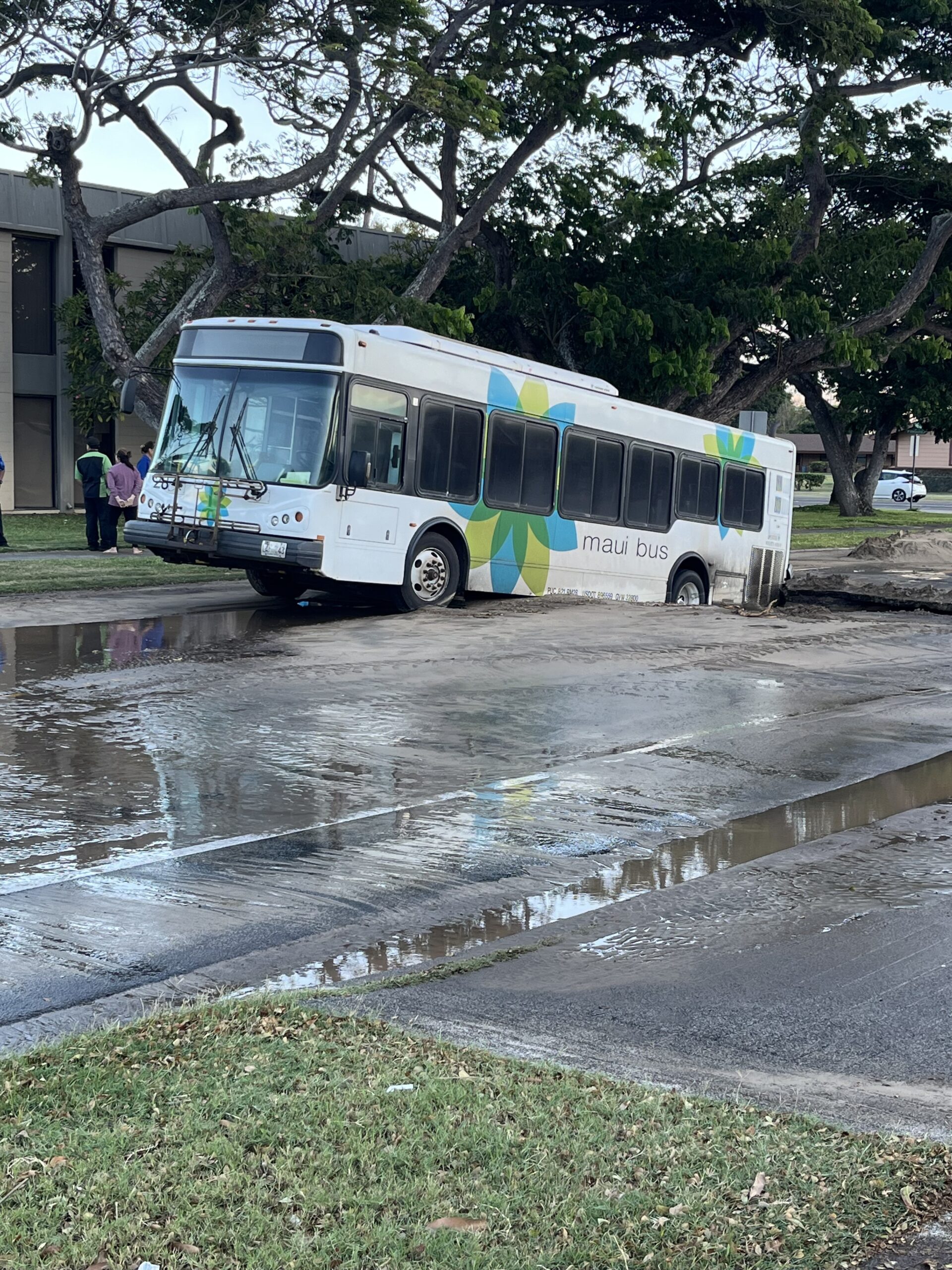 Maui bus gets stuck in sinkhole the size of a small swimming pool ...